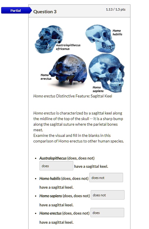 partial 11315pts question 3 homo habilis australopithecus atriconus homo crcctu hamo sapiens ...