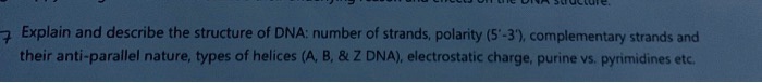Explain and describe the structure of DNA: number of strands, polarity ...