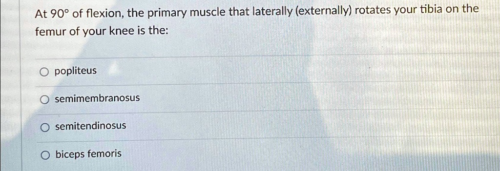 At 90 degrees of flexion, the primary muscle that laterally (externally ...
