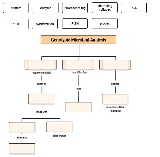 Move the terms into the correct empty boxes to complete this concept ...