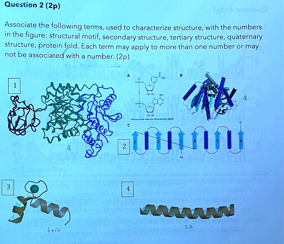 SOLVED: Question 2 (2p) Associate the following terms, used to ...