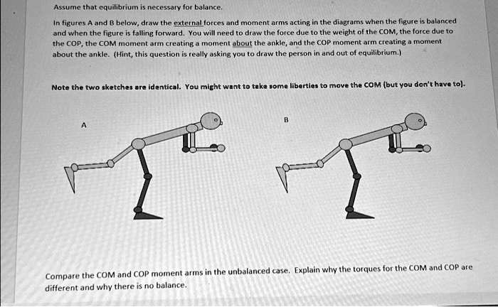 Assume that equilibrium is necessary for balance. In figures A and B ...
