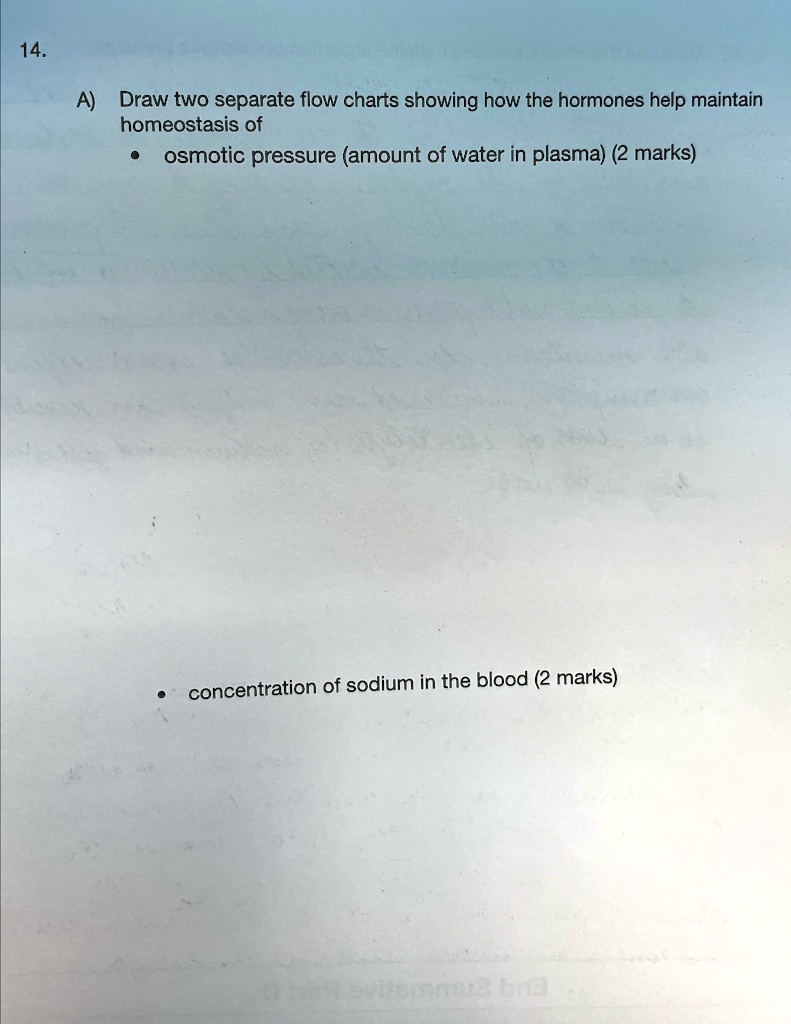 A) Draw two separate flow charts showing how the hormones help maintain ...