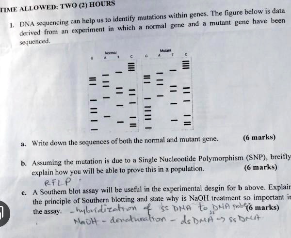 TIME ALLOWED: TWO (2) HOURS 1. DNA sequencing can help us to identify ...
