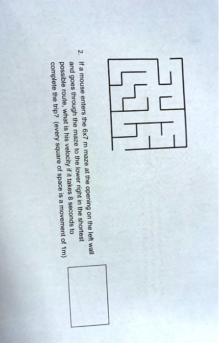 2. If a mouse enters the 6x7 m maze at the opening on the left wall and ...