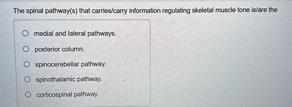 [GET ANSWER] the spinal pathways that carriescarry information ...