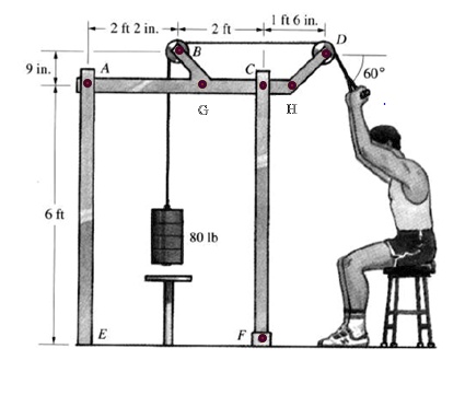SOLVED: Draw FBD of the weight machine shown below and determine ...