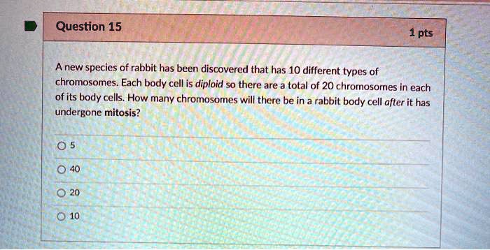 A new species of rabbit has been discovered that has 10 different types ...