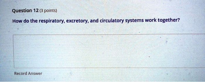 SOLVED: Question 12 (3 points) How do the respiratory; excretory, and ...
