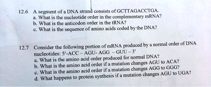 SOLVED: 12.6 A segment of a DNA strand consists of GCTTAGACCTGA a. What ...