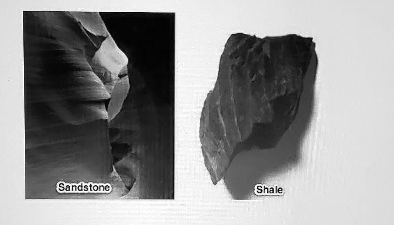 SOLVED: 'Consider the two samples of sedimentary rock seen here.Predict ...