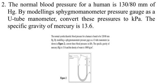 SOLVED: The normal blood pressure for a human is 130/80 mmHg. By ...