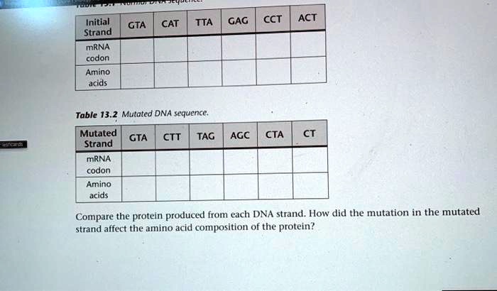 SOLVED: Initial Strand GTA CAT TTA GAG CCT ACT mRNA codon Amino acids ...