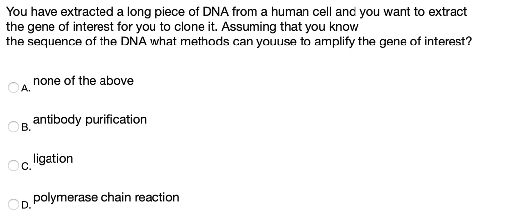 SOLVED: You have extracted a long piece of DNA from a human cell and ...
