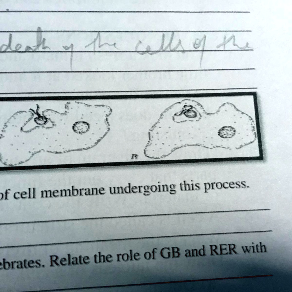 SOLVED: Look at the figure: (a) Name the process: (b) Identify the ...