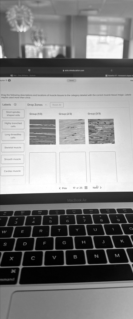 Drag the following descriptions and locations of muscle tissues to the category labeled with the ...
