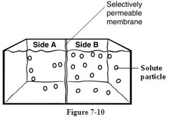 SOLVED: A student put together the experimental set-up shown below. The ...