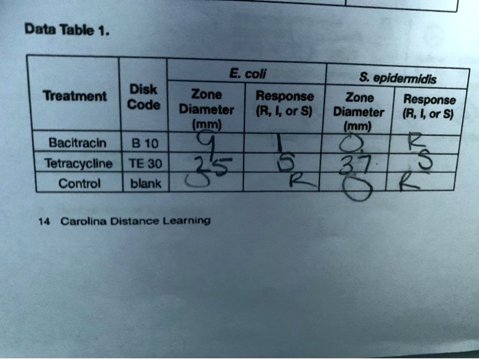 Data Table 1. E:coli S epidermidis Disk Treatment Zone Response Zone ...