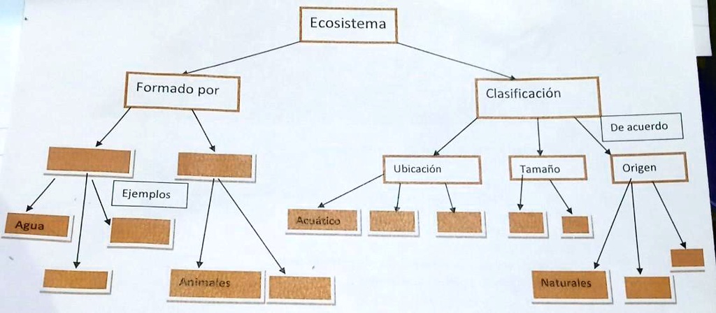 SOLVED: completar este mapa conceptual con las siguientes palabras ...