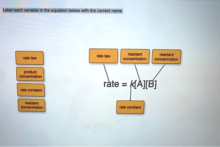 SOLVED: Label each variable in the equation below with the correct name ... SOLVED: Label each variable in the equation below with the correct name ...