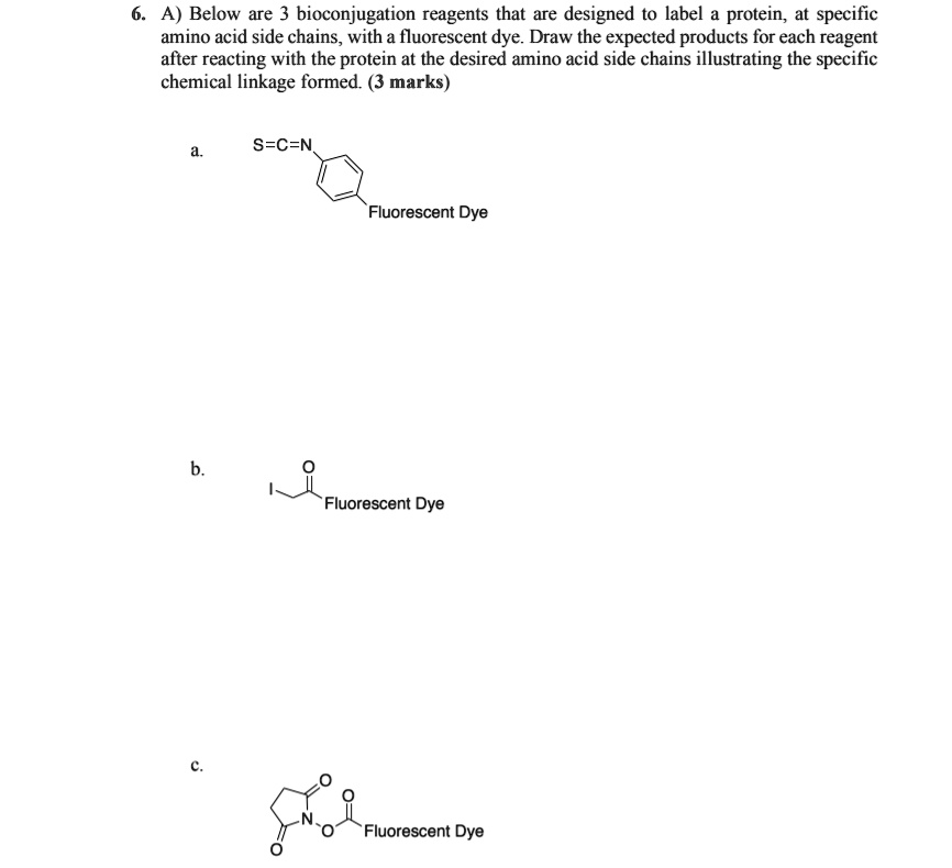 SOLVED: Below are 3 bioconjugation reagents that are designed to label ...