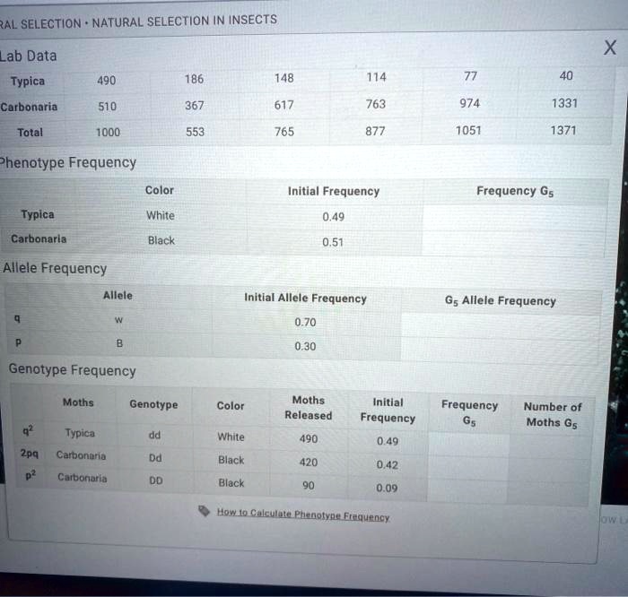 ral selection natural selection in insects lab data typica 490 186 148 ...