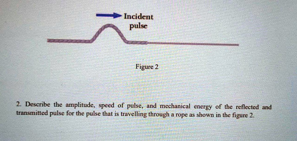 SOLVED: Incident pulsc Figure 2 2 Describe the amplitude; speed of ...
