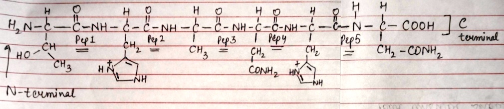 SOLVED: Draw the titration curve of the peptide code THANHN (use the ...
