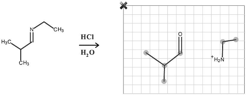 SOLVED: H3C CH3 CH3 HCl H2O H2N CH3 HCl H3C H2O H2N CH3