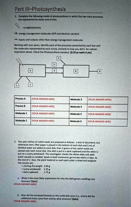 SOLVED: Partial-Photosynthesis: Complete the following model of ...