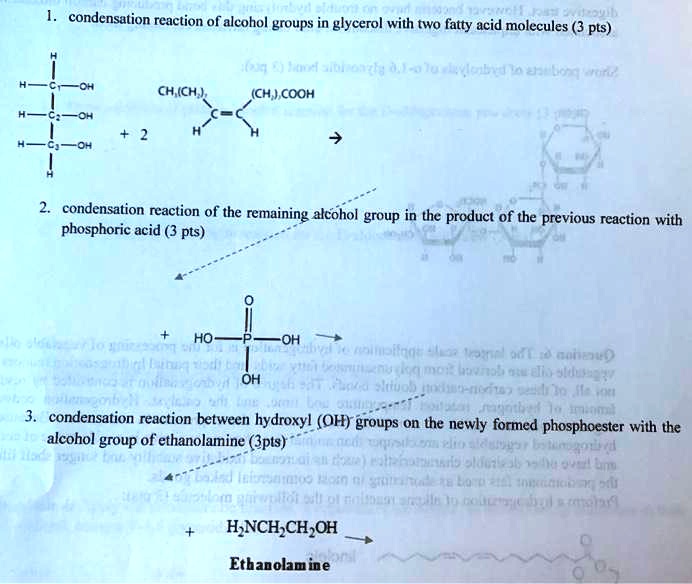 SOLVED: condensation reaction of alcohol groups in glycerol with two ...
