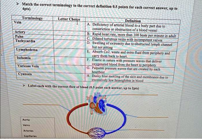 health assessment match the correct terminology to the correct definition 05 points for each ...