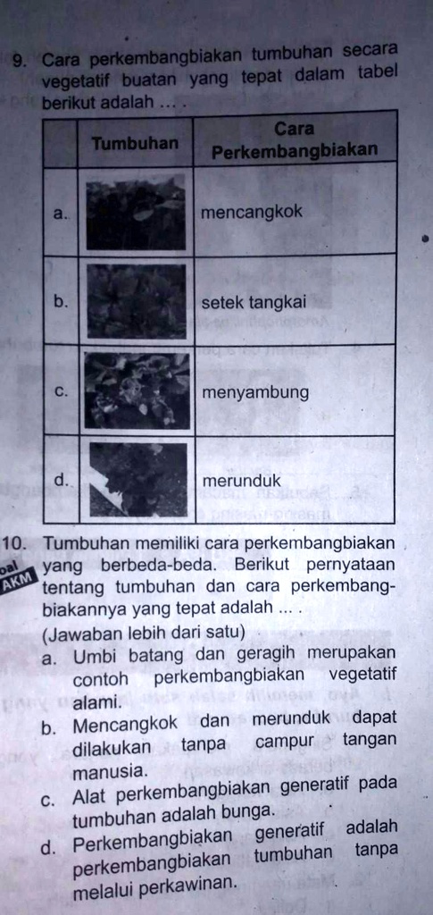 SOLVED: kaa tolonglh pliss ku ga bs:) Cara perkembangbiakan tumbuhan ...