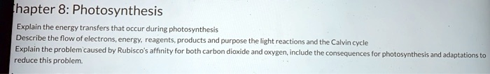 SOLVED: Chapter 8: Photosynthesis Explain the energy transfers that ...
