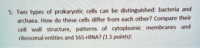 SOLVED: Two types of prokaryotic cells can be distinguished: bacteria ...