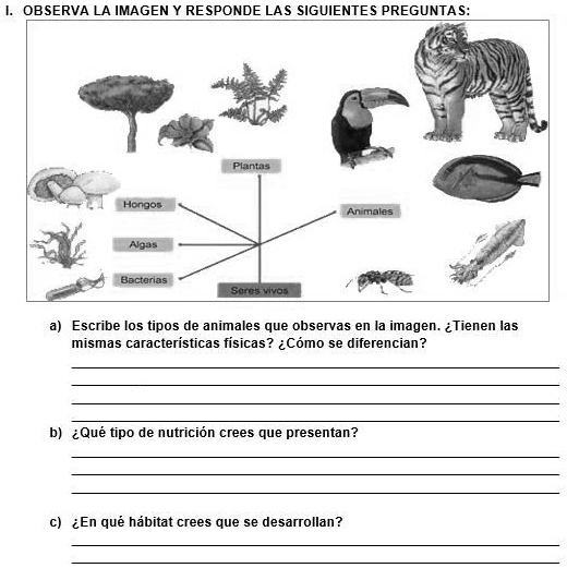 SOLVED: Ayuda!!! D: DOY 15 PUNTOS OBSERVA LA IMAGEN RESPONDE LAS ...