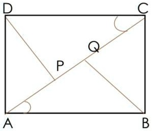 SOLVED: 'in the adjoining figure ABCD is a rectangle DP and BQ are ...