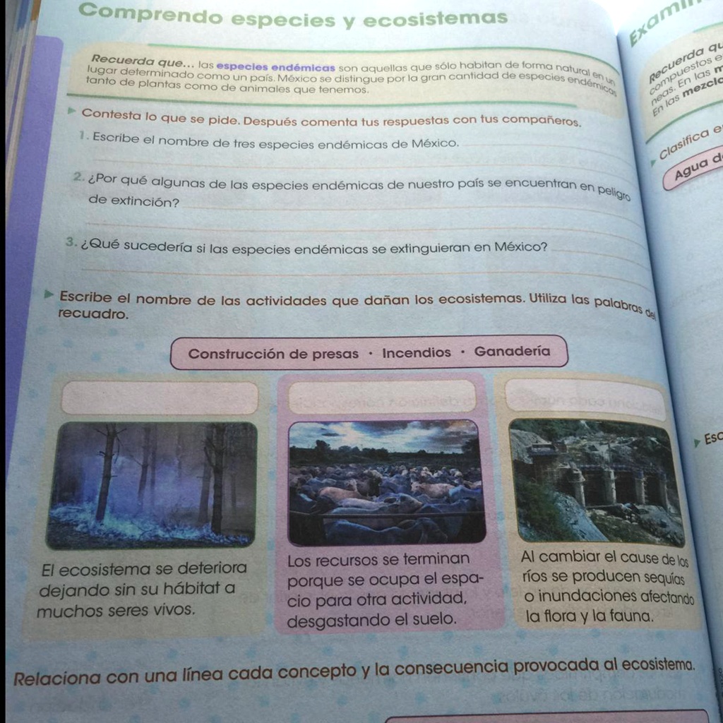 esta es la foto de la pregunta anterior 3 comprendo especies y ...