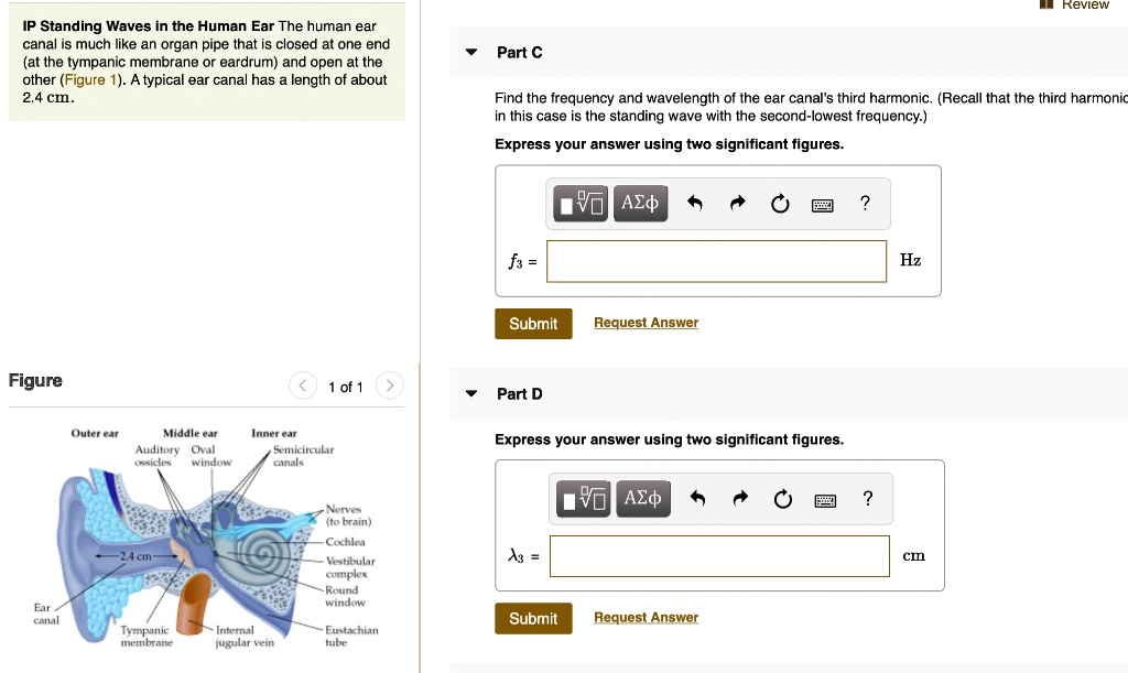 review ip standing waves in the human ear the human ear canal is much ...
