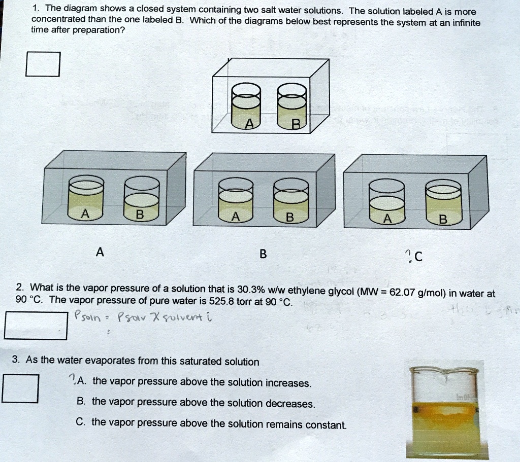 SOLVED: The diagram shows a closed system containing two saltwater ...