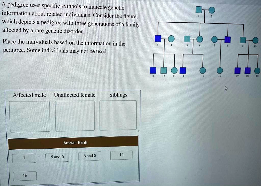 a pedigree uses specific symbols to indicate genetic information about related individuals ...