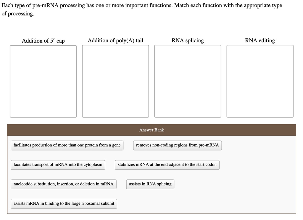 SOLVED: Each type of pre-mRNA processing has one or more important functions. Match each ...