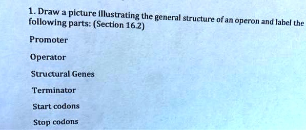 draw a picture illustrating the following parts section 163 general ...