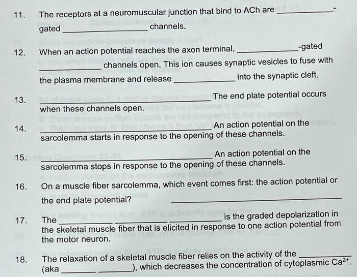SOLVED: 11. The receptors at a neuromuscular junction that bind to ACh ...