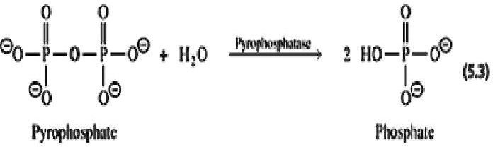 SOLVED: Pyrophosphatase catalyzes the reaction shown in the reaction scheme. To which main class ...