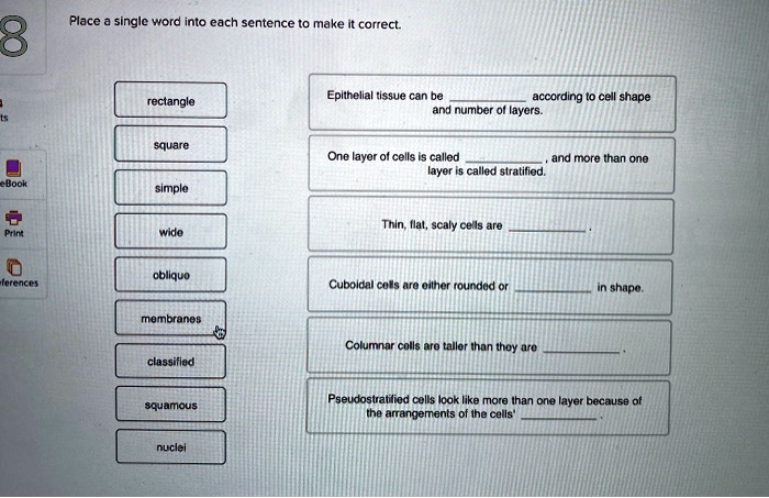 SOLVED: Epithelial tissue can be classified according to cell shape and number of layers. One ...