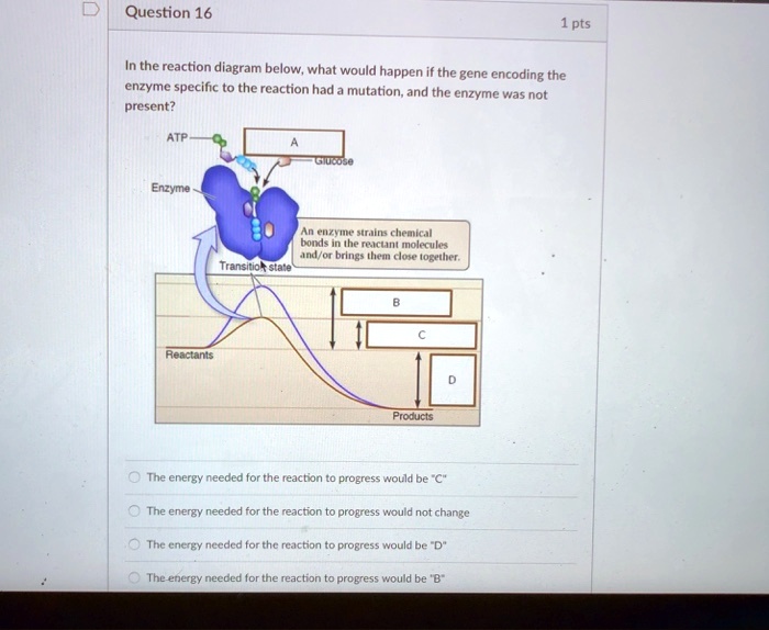 Question 16 1 pts In the reaction diagram below, what would happen if ...