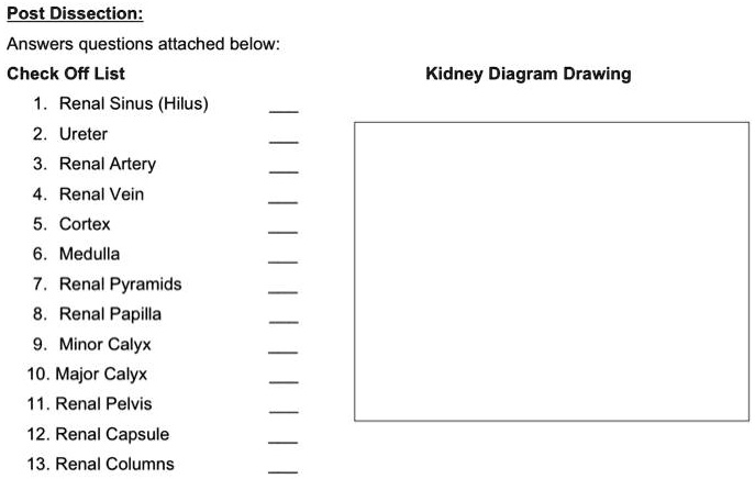 SOLVED: Post Dissection: Answers questions attached below: Check Off ...