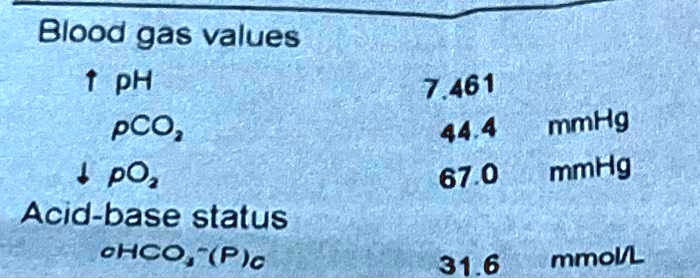 SOLVED: Text: What is the interpretation of this blood gas and what is ...