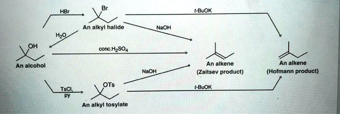 SOLVED: 6BuOK An alkyl halide NaOH H2o OH conc HzS04 An alcohol An ...